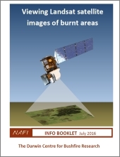 VIEWING LANDSAT IMAGES OF BURNT AREAS